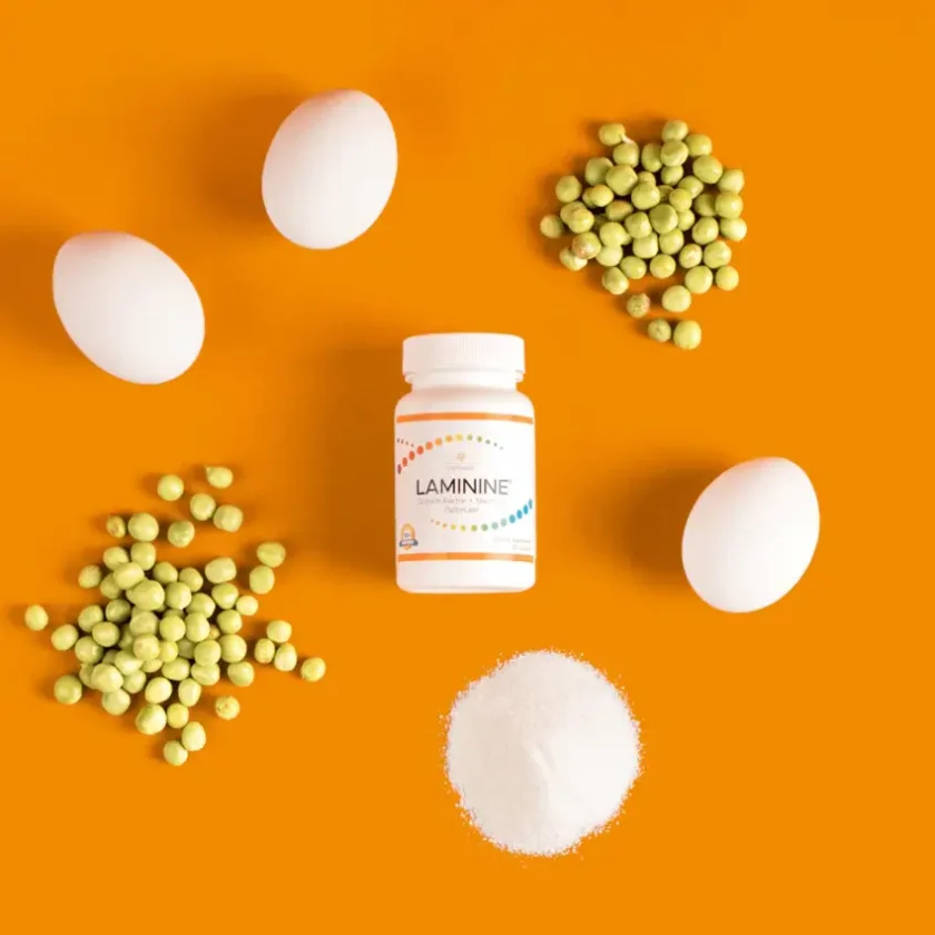 Laminine LifePharm 120 capsule GlobalPharm %%sep%% Laminine %%sep%% LifePharm %%sep%%Regenerare ...